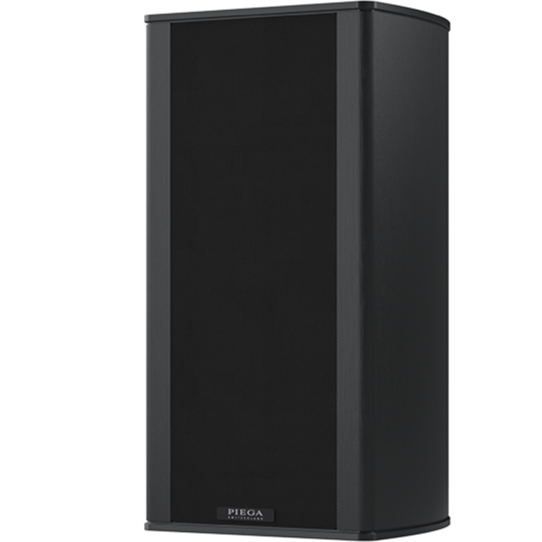Piega Coax 311 (schwarz eloxiert) – Webshop Erzinger AG | Smart Home ...